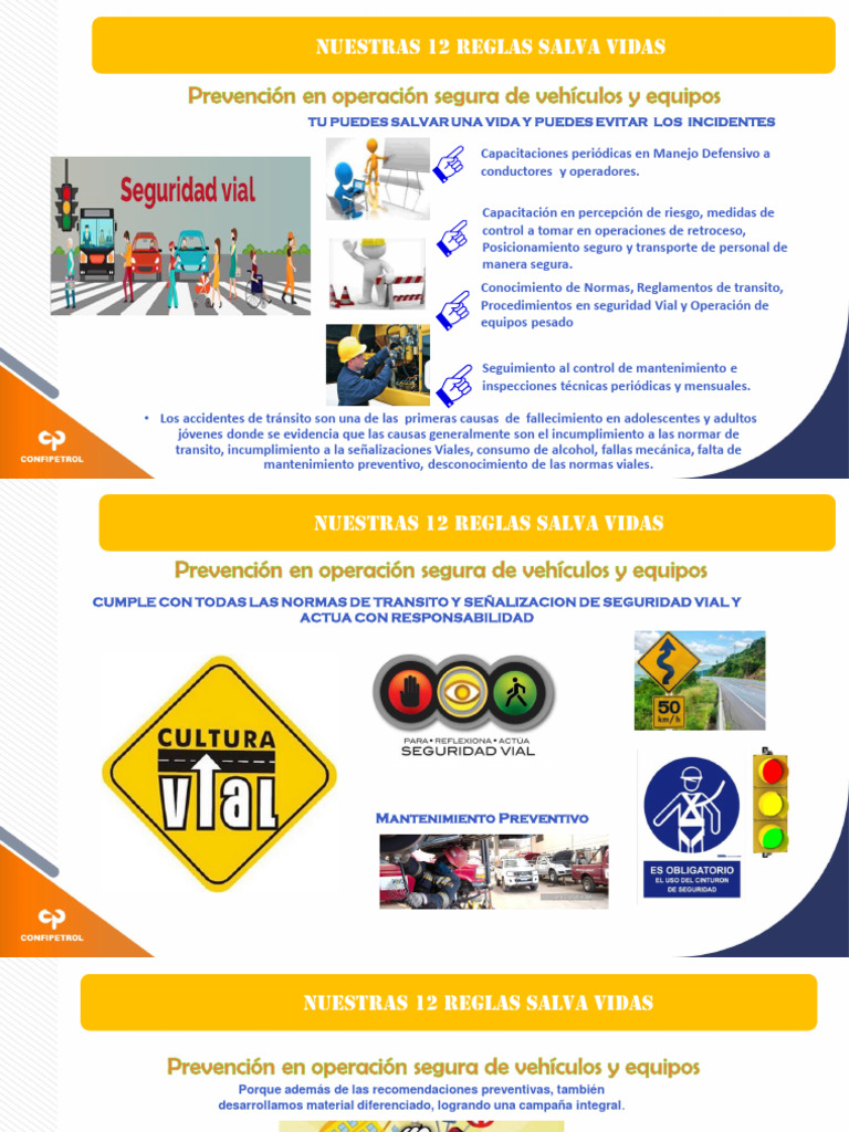 Tips en Seguridad Vial | PDF