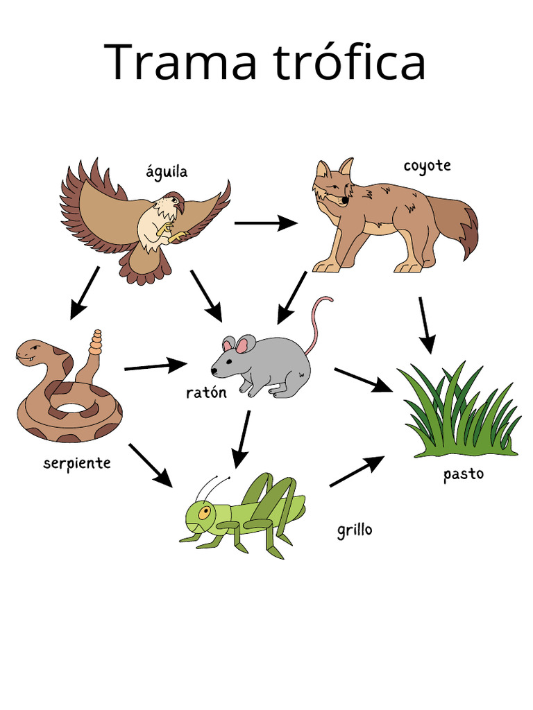 Trama Trófica | PDF