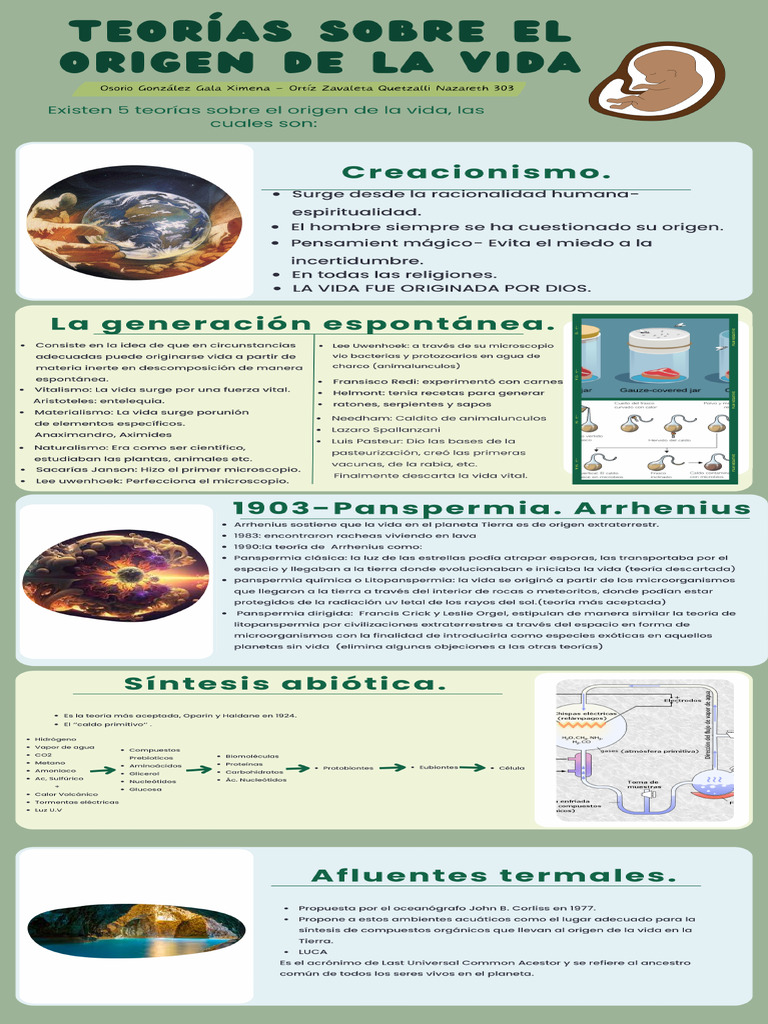 Infografía Biología - Teorías Sobre El Origen de La Vida | PDF
