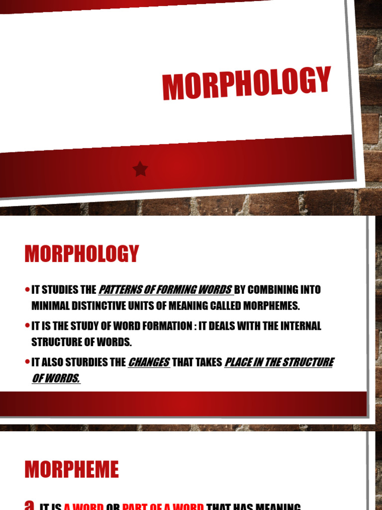 Morphology - For GC | PDF | Word | Language Families