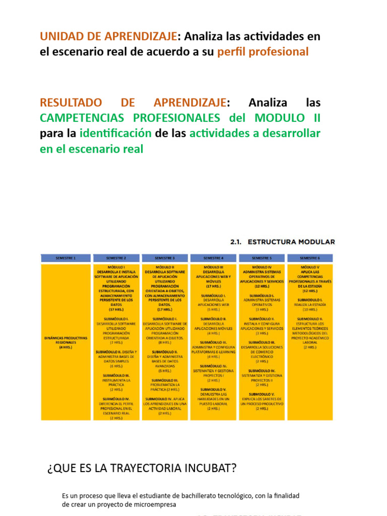 Trayectoria Incubat: Proyecto Microempresa | PDF