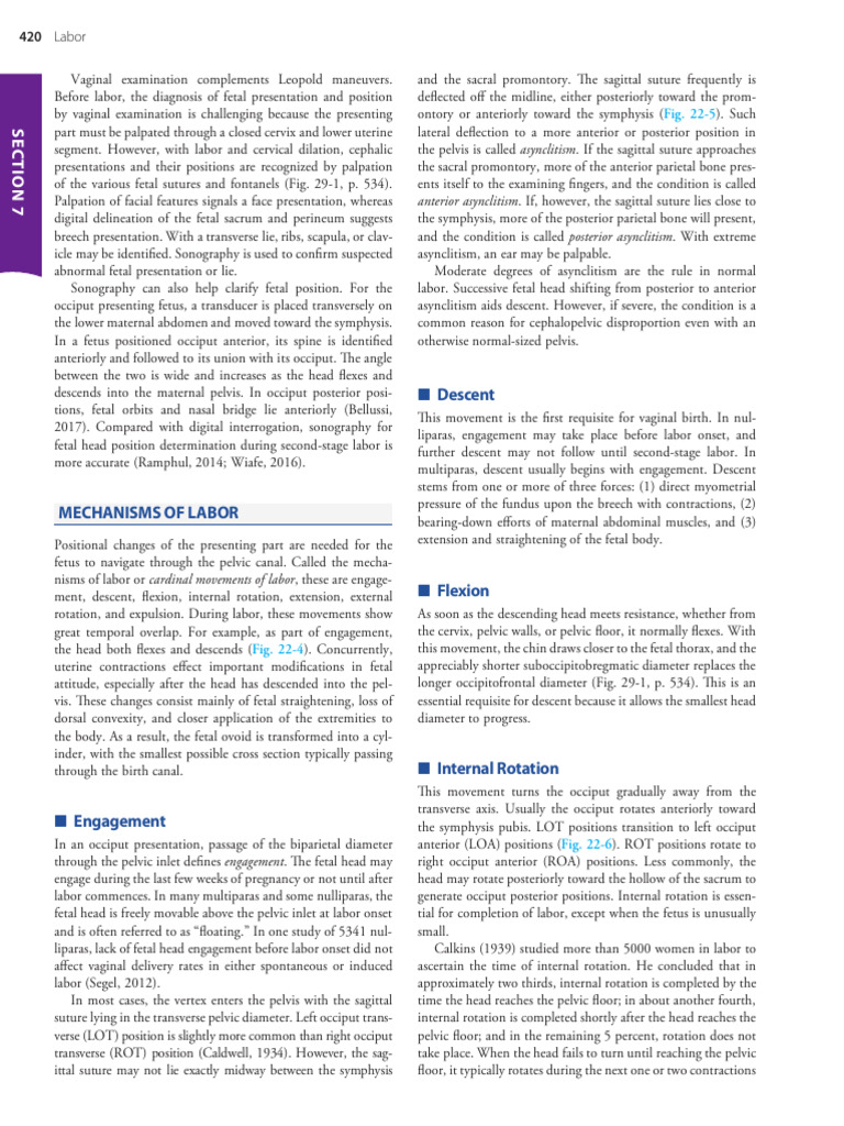 Vaginal Exam and Mechanisms of Labor | PDF | Pelvis | Childbirth