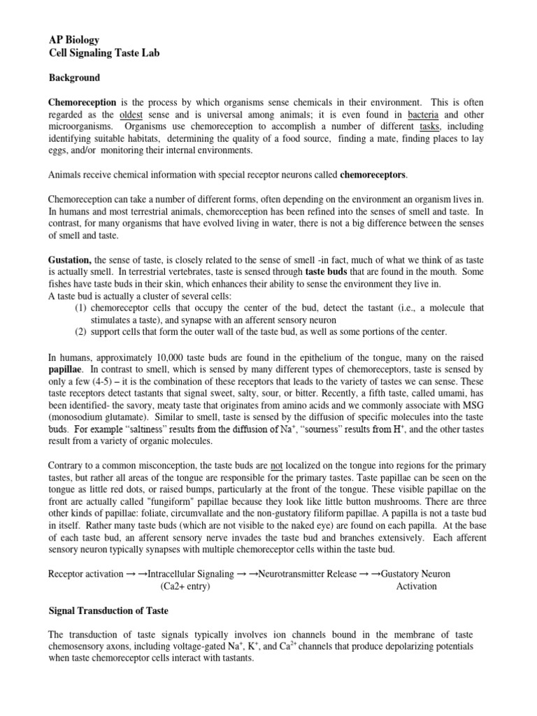 Cell Signaling Taste Lab AP 2018 | PDF | Taste | Umami