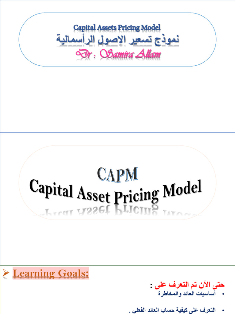 CAPM | PDF