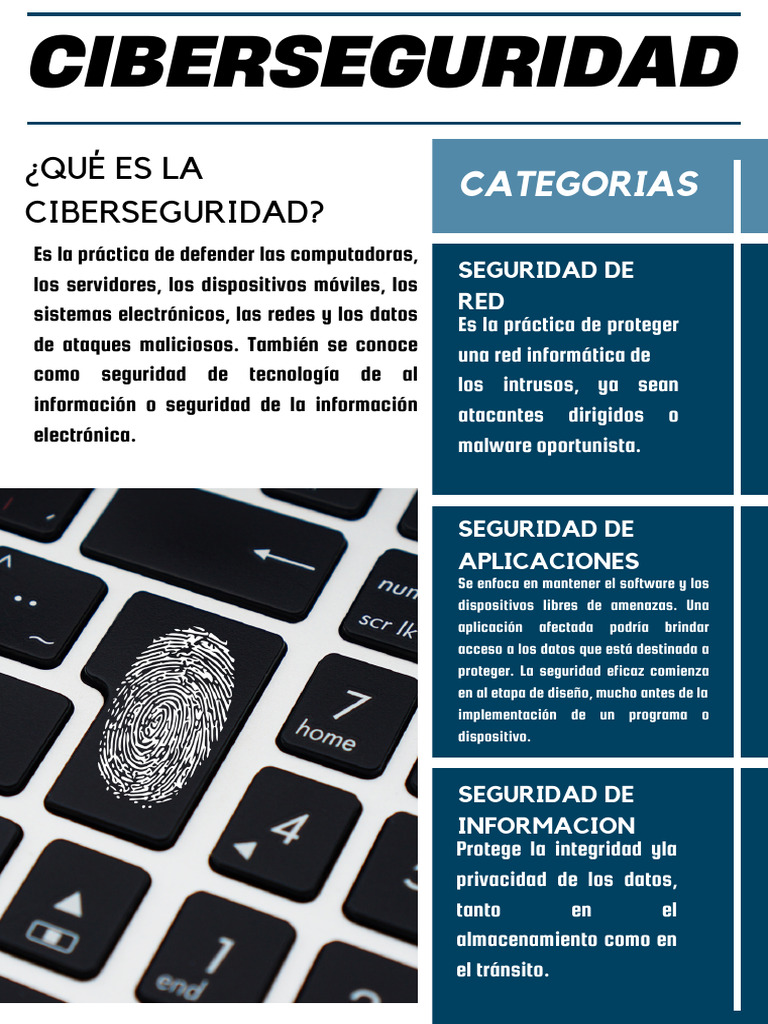 Ciberseguridad | PDF
