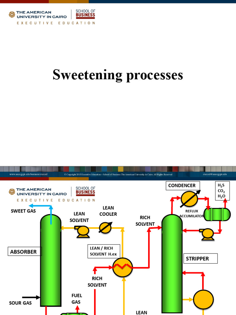 Sweetening Process 1693604351 | PDF | Carbon Dioxide | Energy Technology