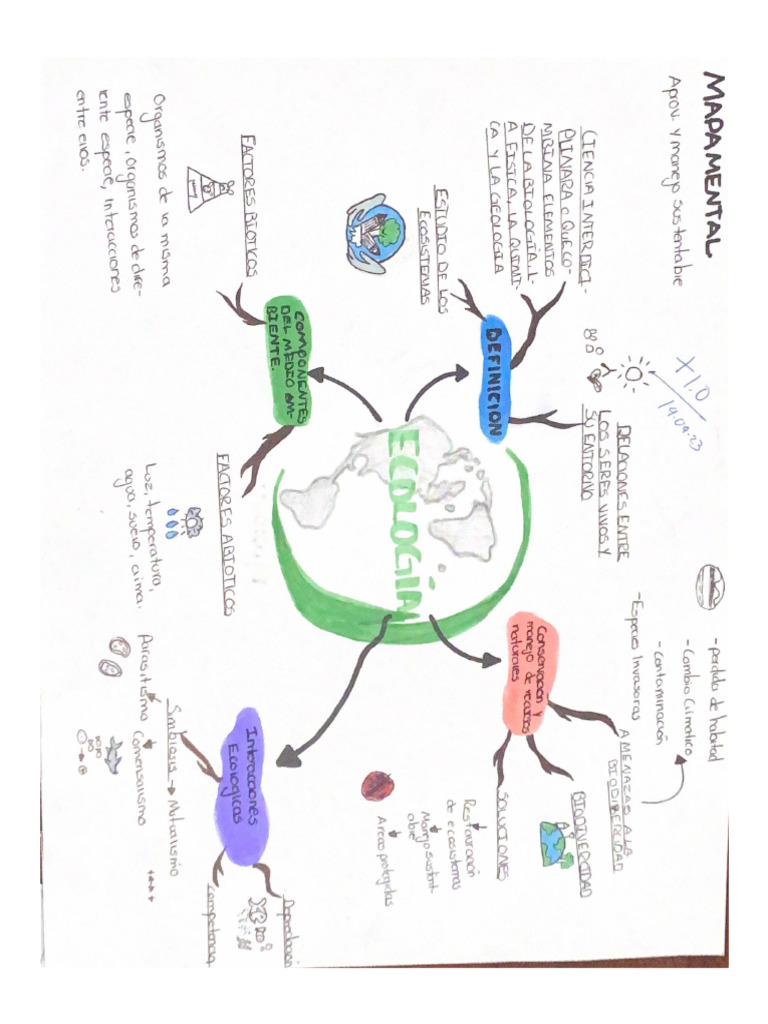 Tarea 2. Mapa Mental | PDF
