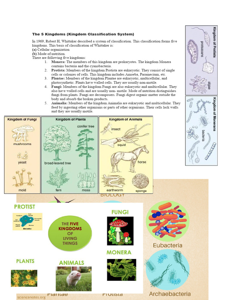 Five Kingdoms of Life Explained | PDF | Science & Mathematics