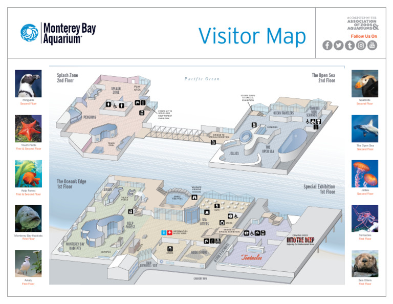 Aquarium Visitor Map | PDF | Monterey | Physical Geography