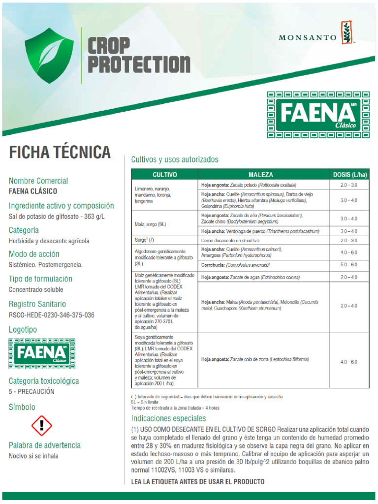 FT - Faena Clasico | PDF