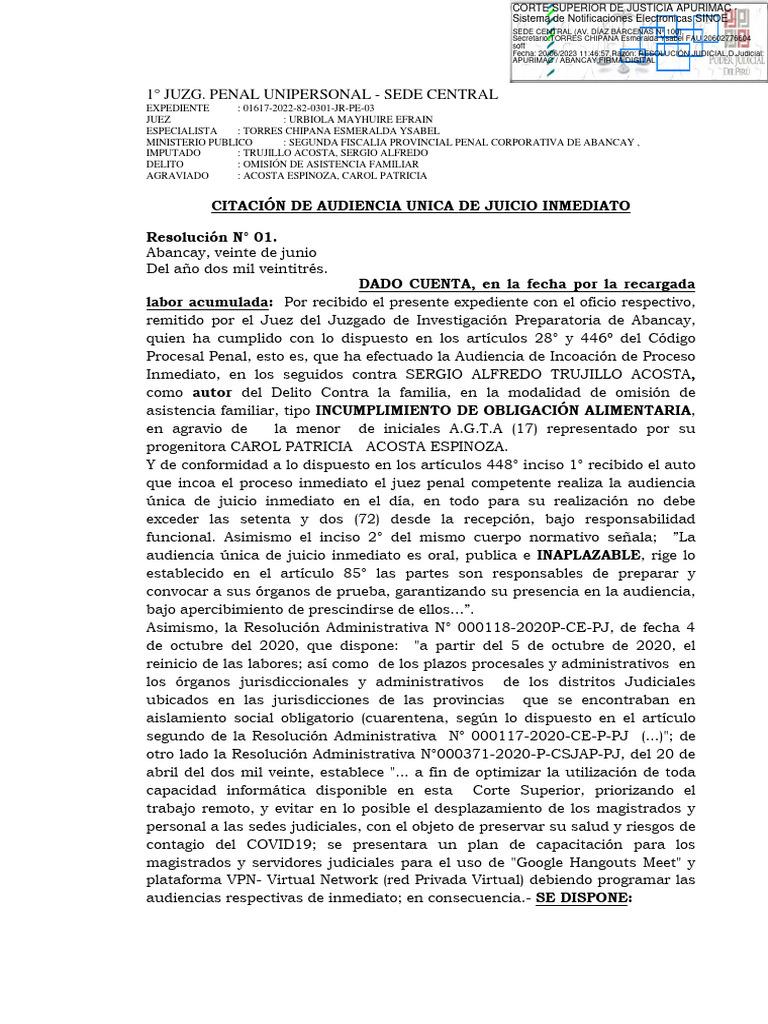CAROL | PDF | Derecho penal | Justicia