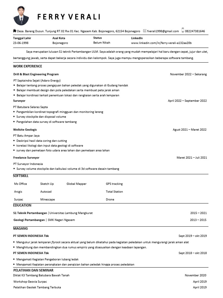 CV Ferry Verali | PDF