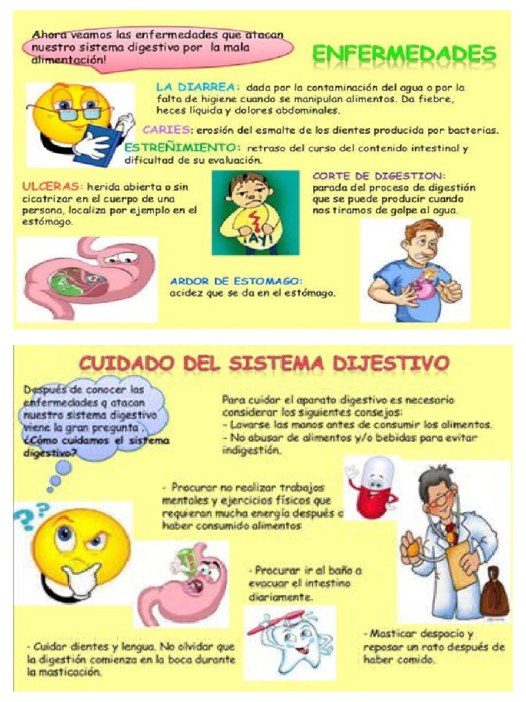 05-23-22, sistema digestivo, cuidados | PDF