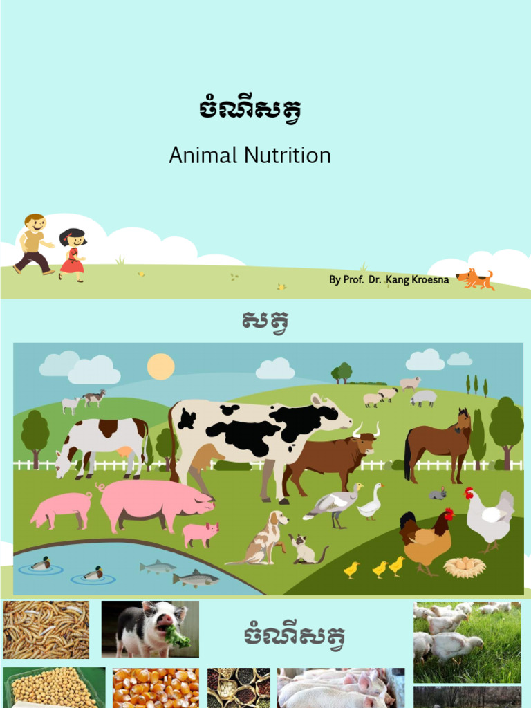 Animal Nutrition-New1 - Updated | PDF