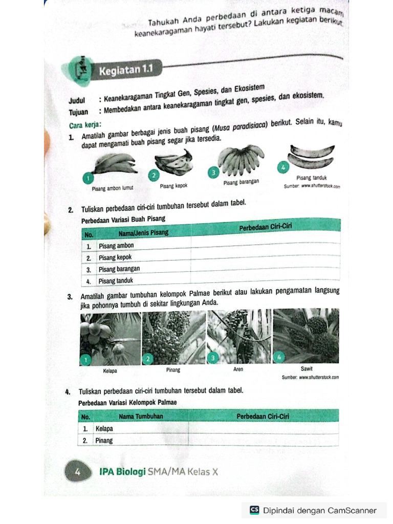 Buku Erlangga Hal 4-6 | PDF