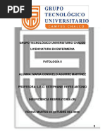 Estudio de La Relacion Safi y Pafi Iess 2020 | PDF | Respiración ...