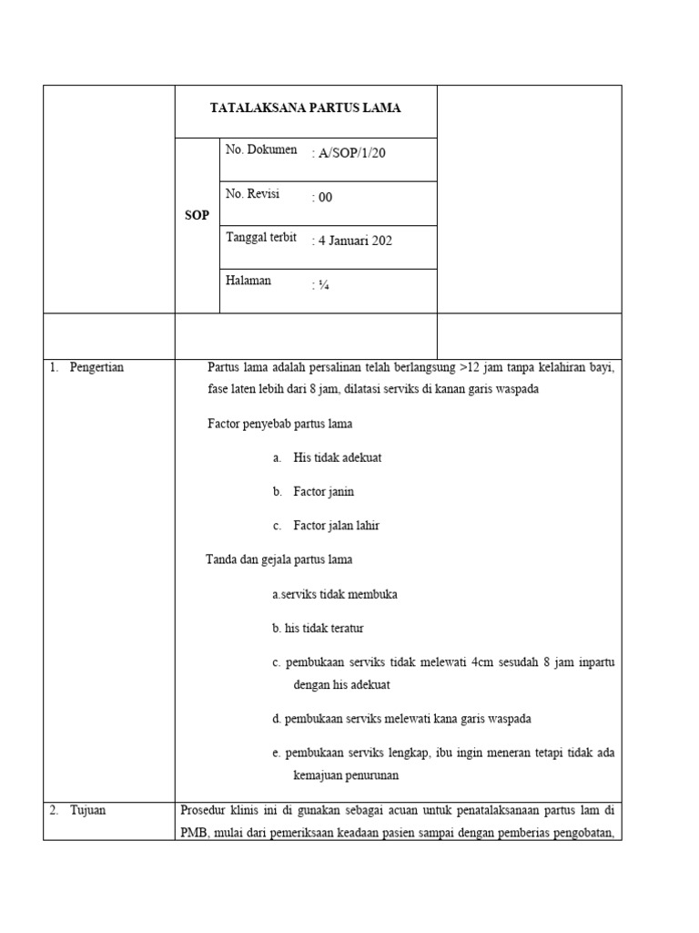 Tatalaksana Partus Lama | PDF