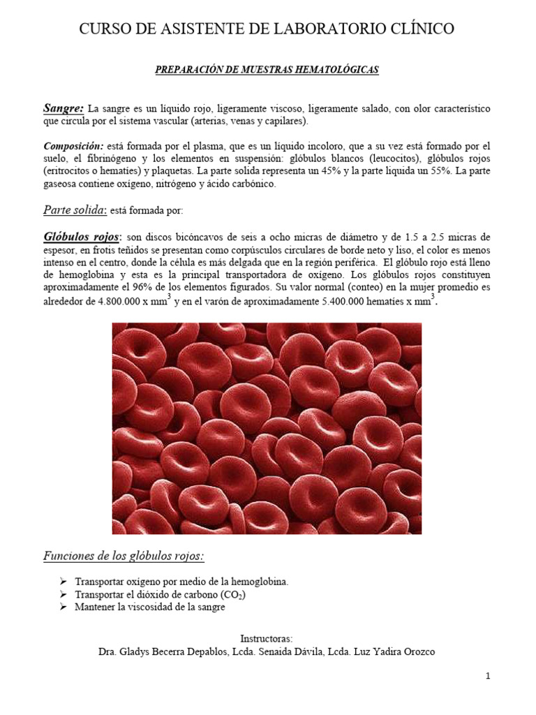 Guia Muestras-Hematolc3b3gicas | PDF | Sangre | Tipo de sangre
