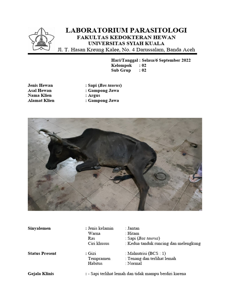 Ambulator Sapi 1 | PDF