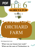 Module 4 Preparing Layout Design For Orchard | PDF | Rectangle | Orchard