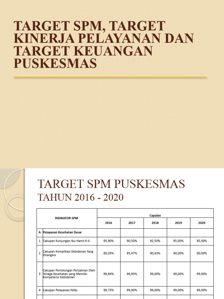 Target SPM, Kinerja Pelayanan Dan Keuangan Puskesmas | PDF