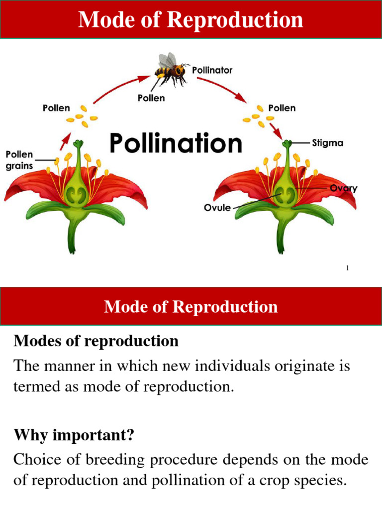 2. Mode of Reproduction Ppt | PDF | Flowers | Pollination
