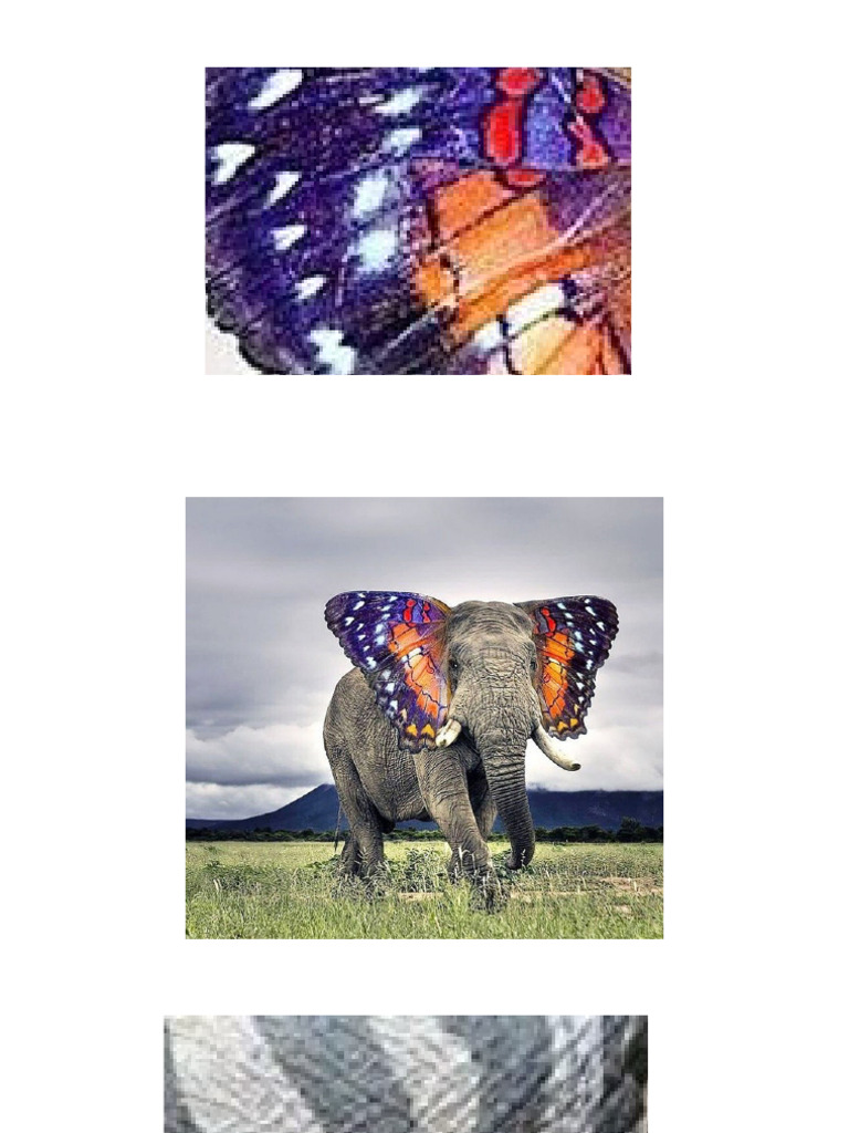 Tebak Gambar Hewan | PDF