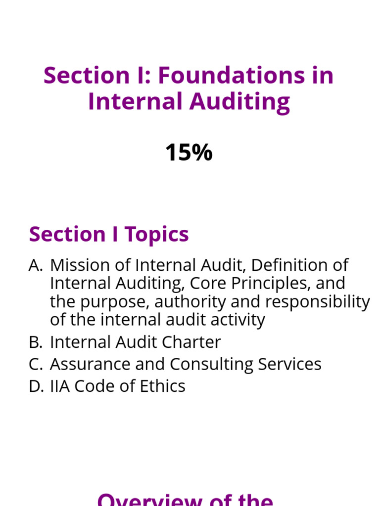 Internal Auditing Principles Guide | PDF | Internal Audit | Audit