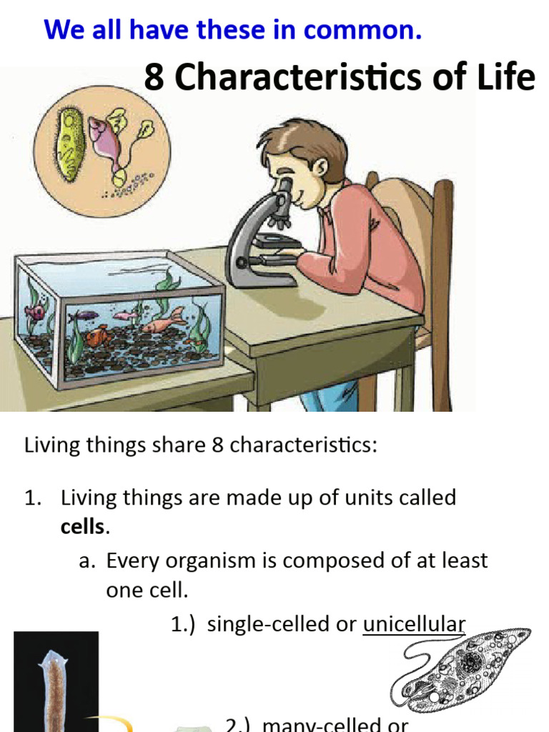 Unit 2 Characteristics of Cells Lesson Week 7and 8 | PDF | Cell ...