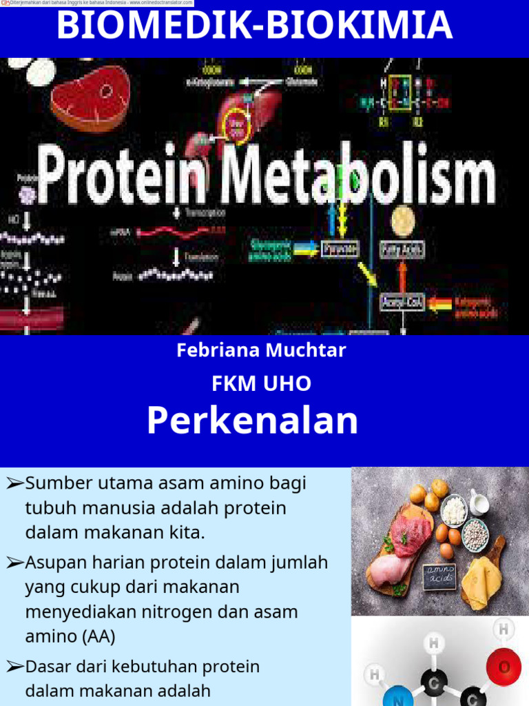 Metabolisme Asam Amino dan Protein | PDF | Kesehatan Holistik | Sains ...