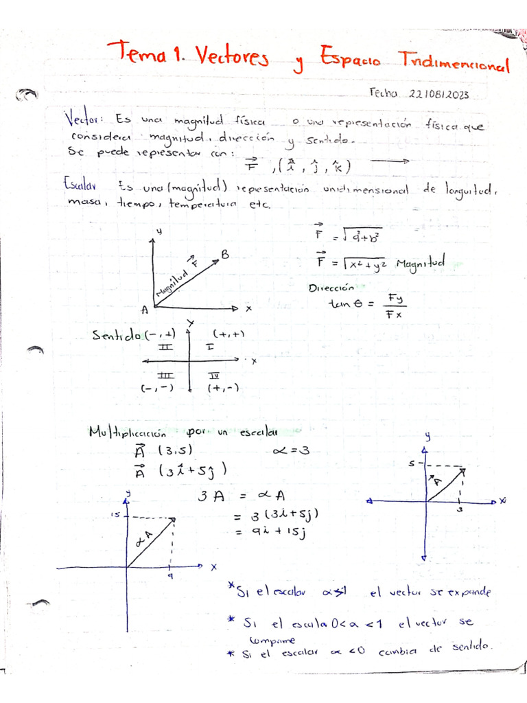 Calculo Vectorial Temas 1,2,3 y 4 | PDF