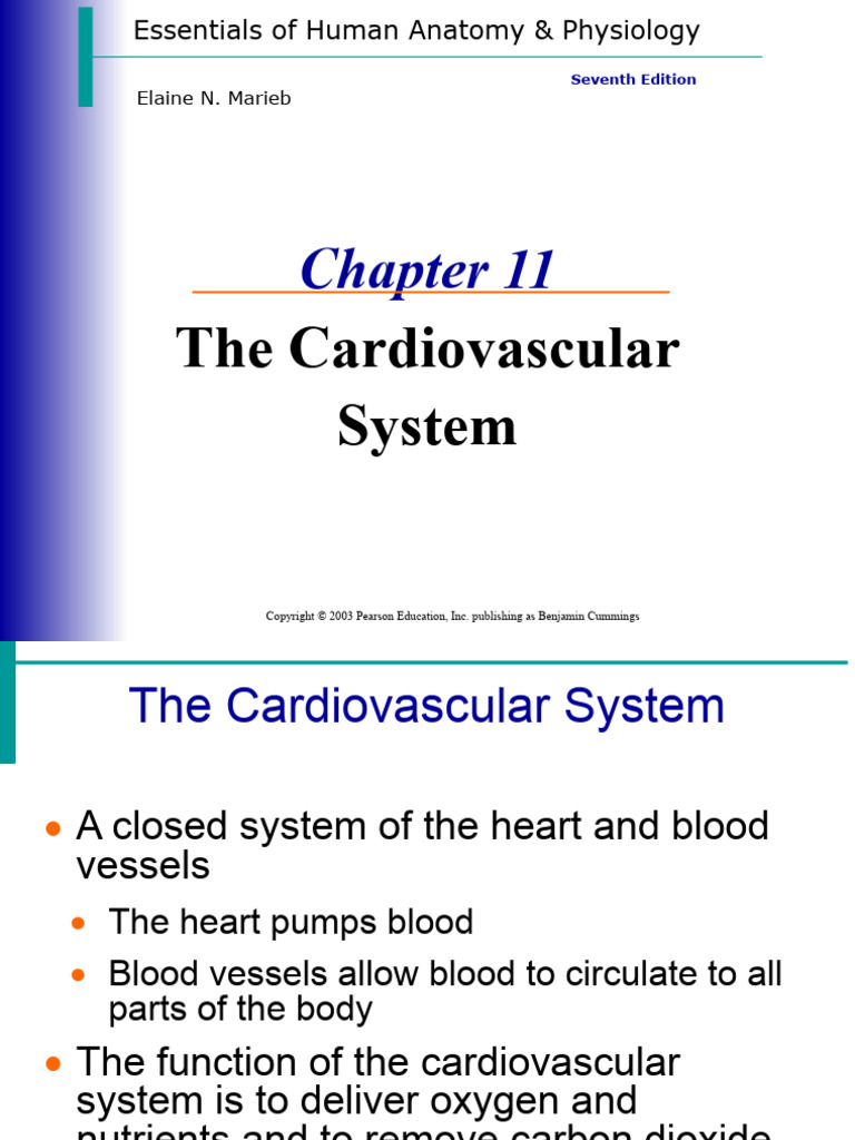 The Cardiovascular System(1) | PDF | Heart Valve | Heart