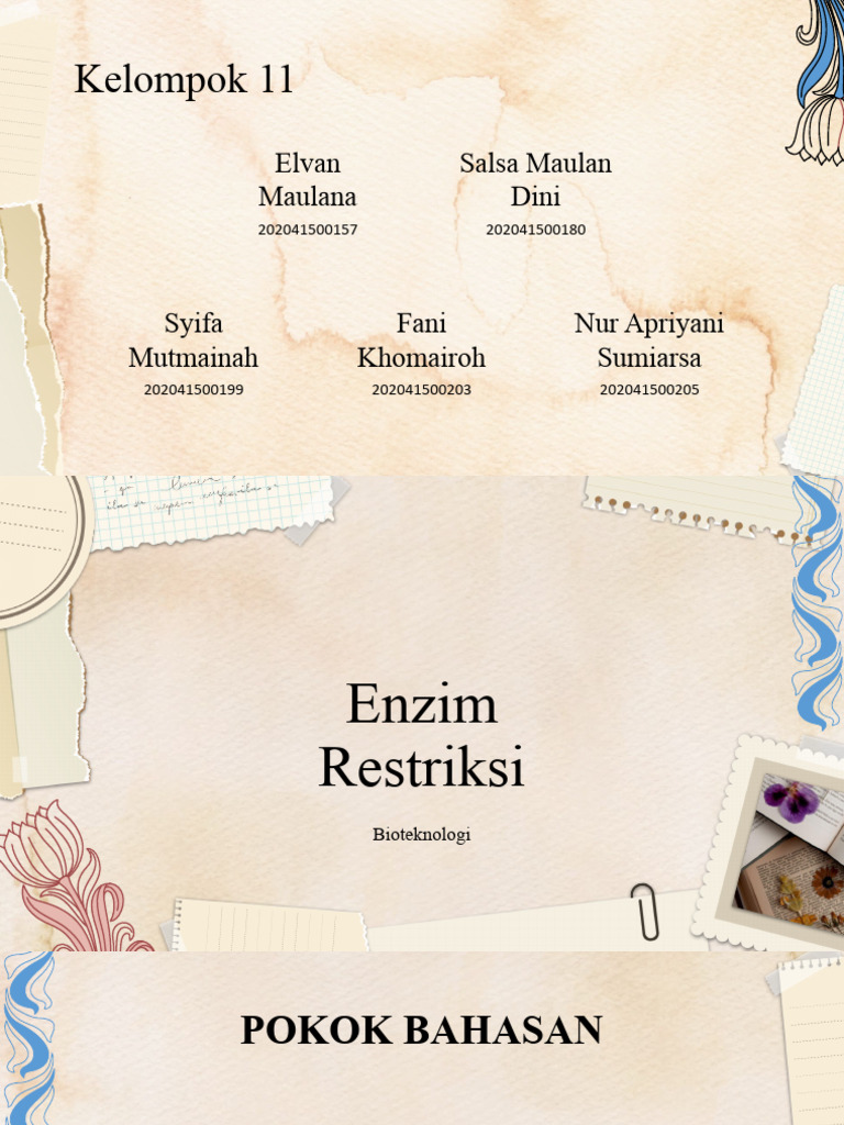 R7C - Kelompok 7 Bioteknologi - Enzim Restriksi | PDF