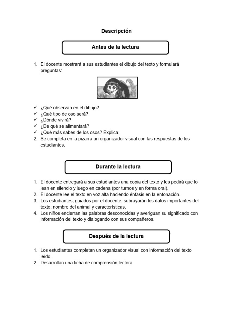 Comprensión Lectora - Descripción | PDF | Osos