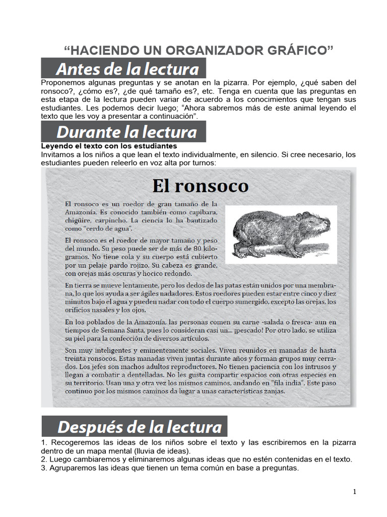 Comprensión Lectora Haciendo Organizador Gráfico | PDF | Aprendizaje ...