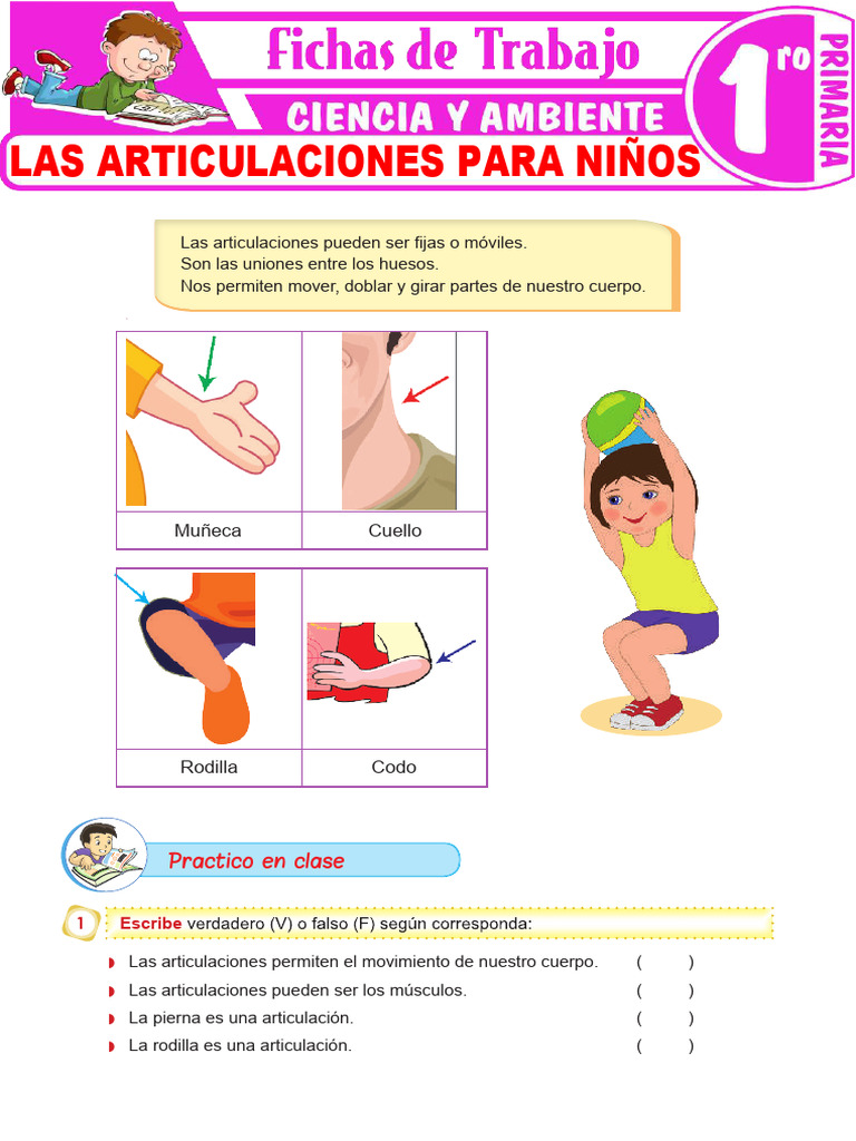 Las Articulaciones para Niños | PDF