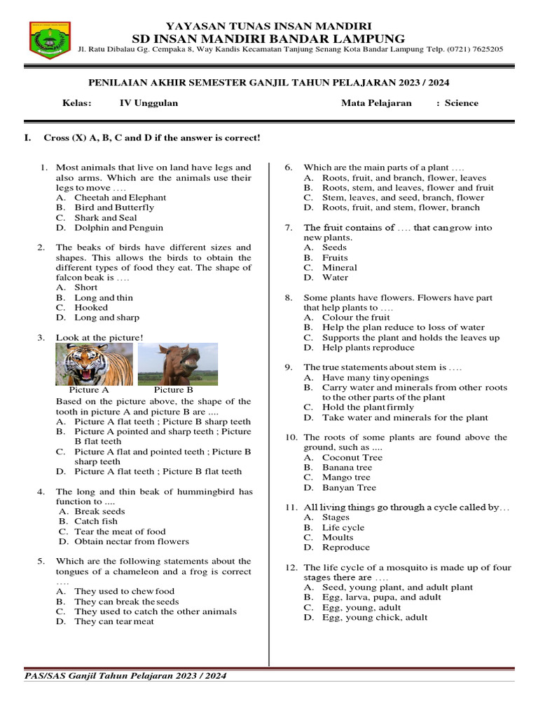 Science Assessment Grade IV 2023/2024 | PDF | Water | Tooth