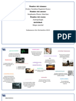 ANEXO TEMA 3 RODILLA-Fosa Intercondilea | PDF | Rodilla | Pelvis