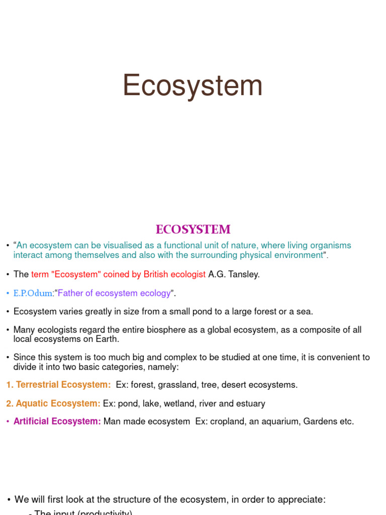 Ecosystem Notes | PDF | Primary Production | Carbon Cycle