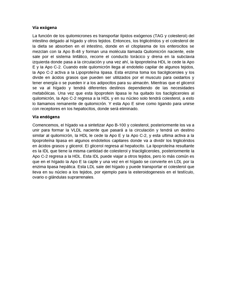 Vía Exógena y Endogena | PDF