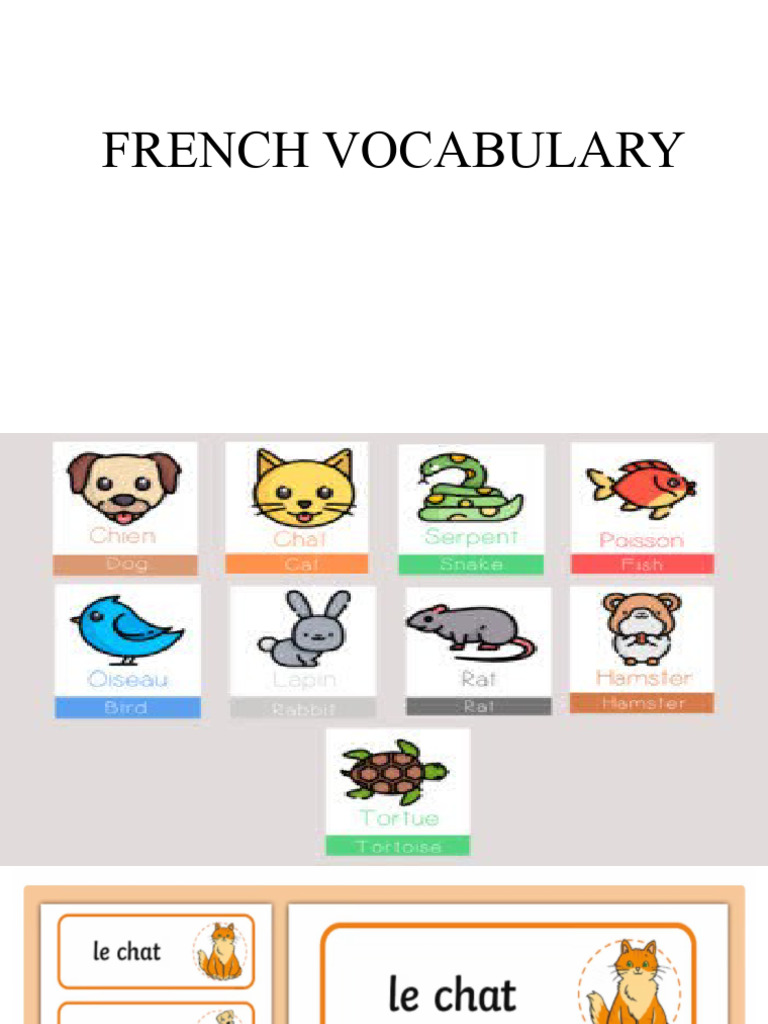 Essential French Vocabulary Guide | PDF