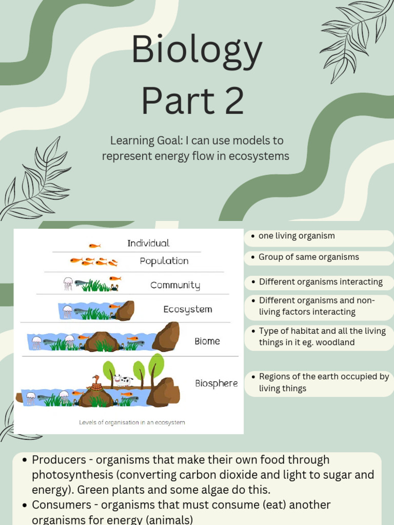 Year 7 Ecology Notes Week 4-5 | Download Free PDF | Food Web | Ecosystem