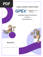 Flyers Answer Sheet | PDF