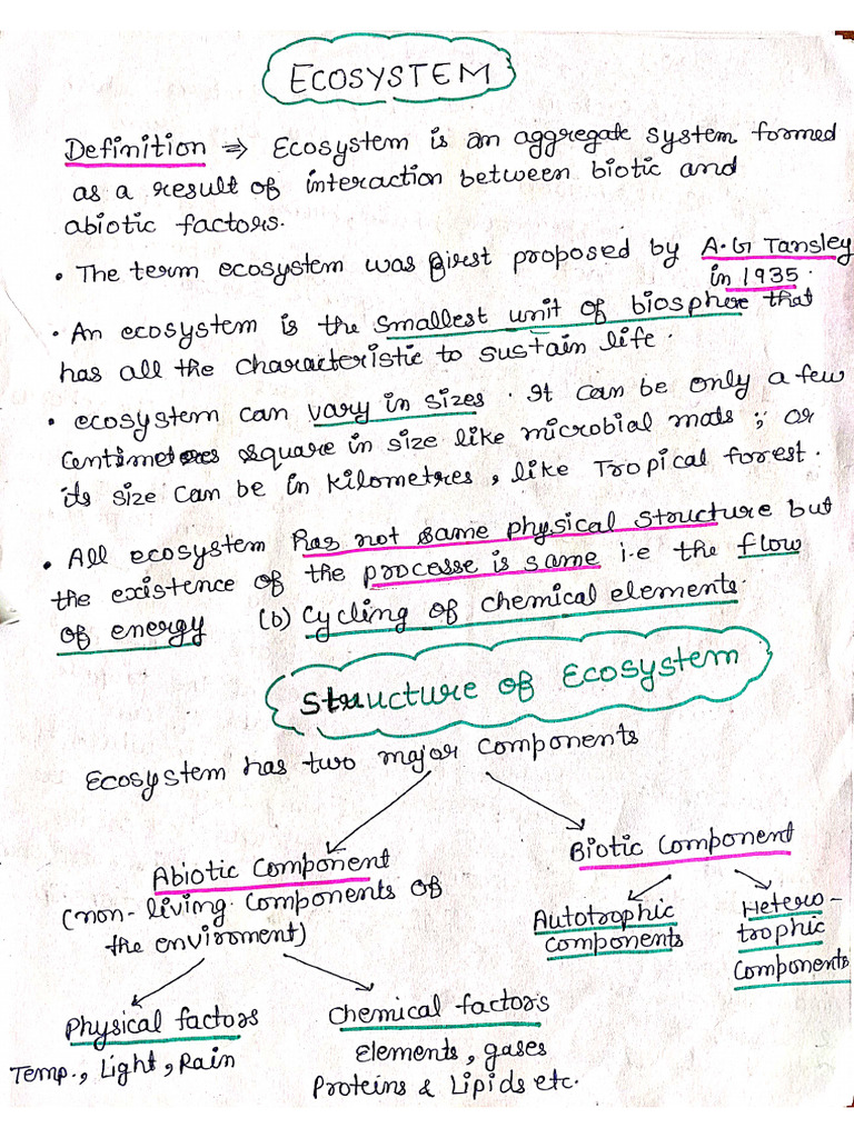 EVS Ecosystem Notes | PDF