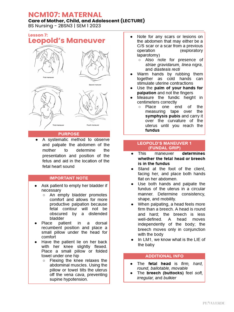 Leopold's Maneuver in Maternal Care | PDF | Pelvis | Human Reproduction