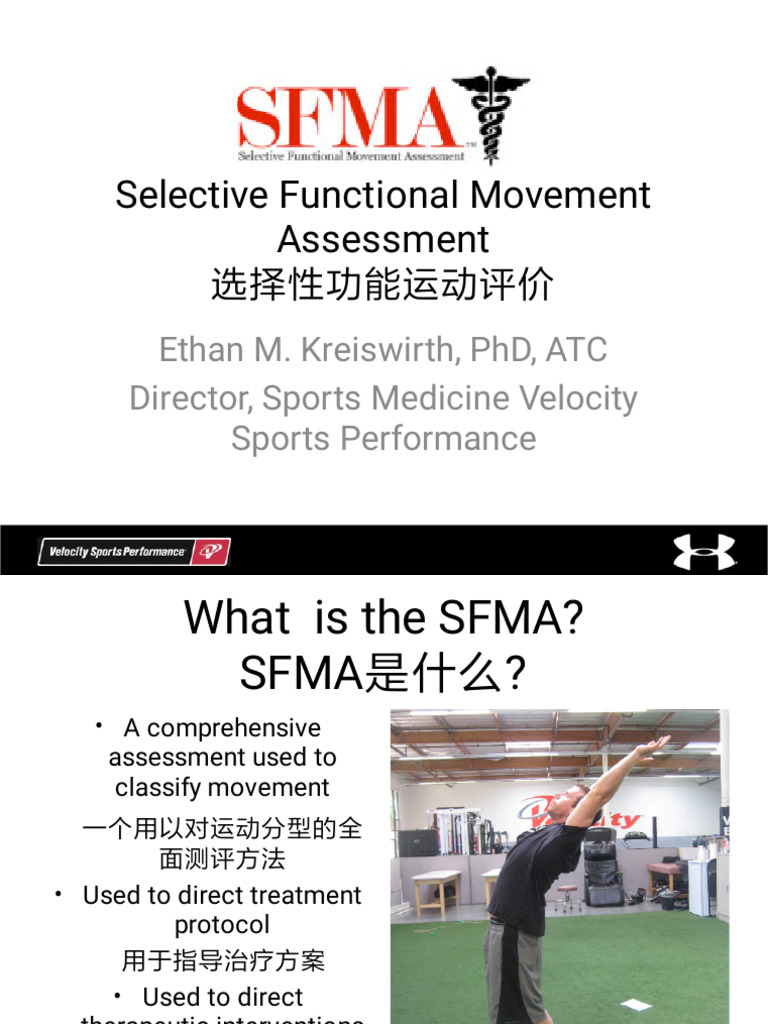 SFMA讲义 | PDF | Anatomical Terms Of Motion | Shoulder