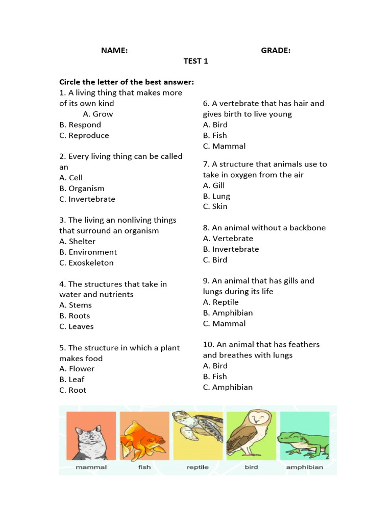 3C Science: Living Organisms Test | PDF | Home & Garden | Wellness