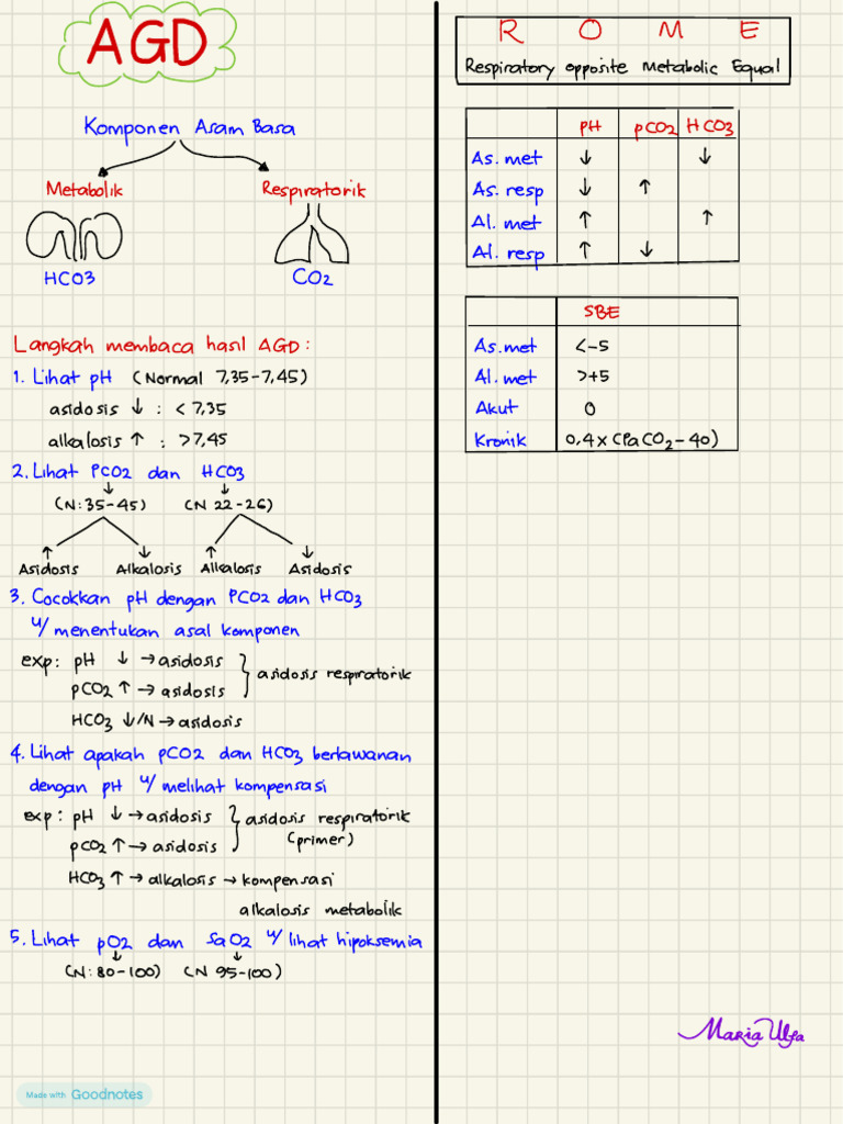 Analisis Gas Darah / Blood Gas Analysis | PDF