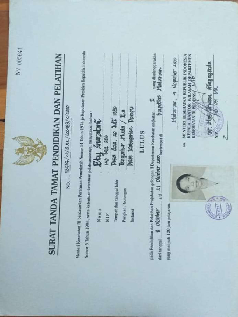 STT Pend Dan Pelatihan-495 | PDF