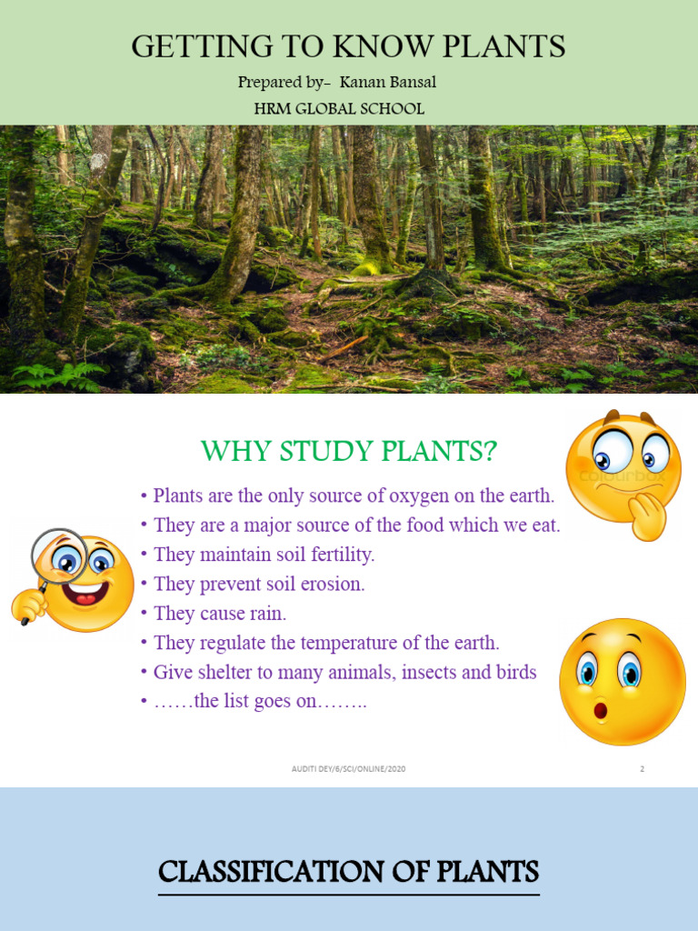 Class 6, Science, PPT, Getting To Know Plants | PDF | Leaf | Petal